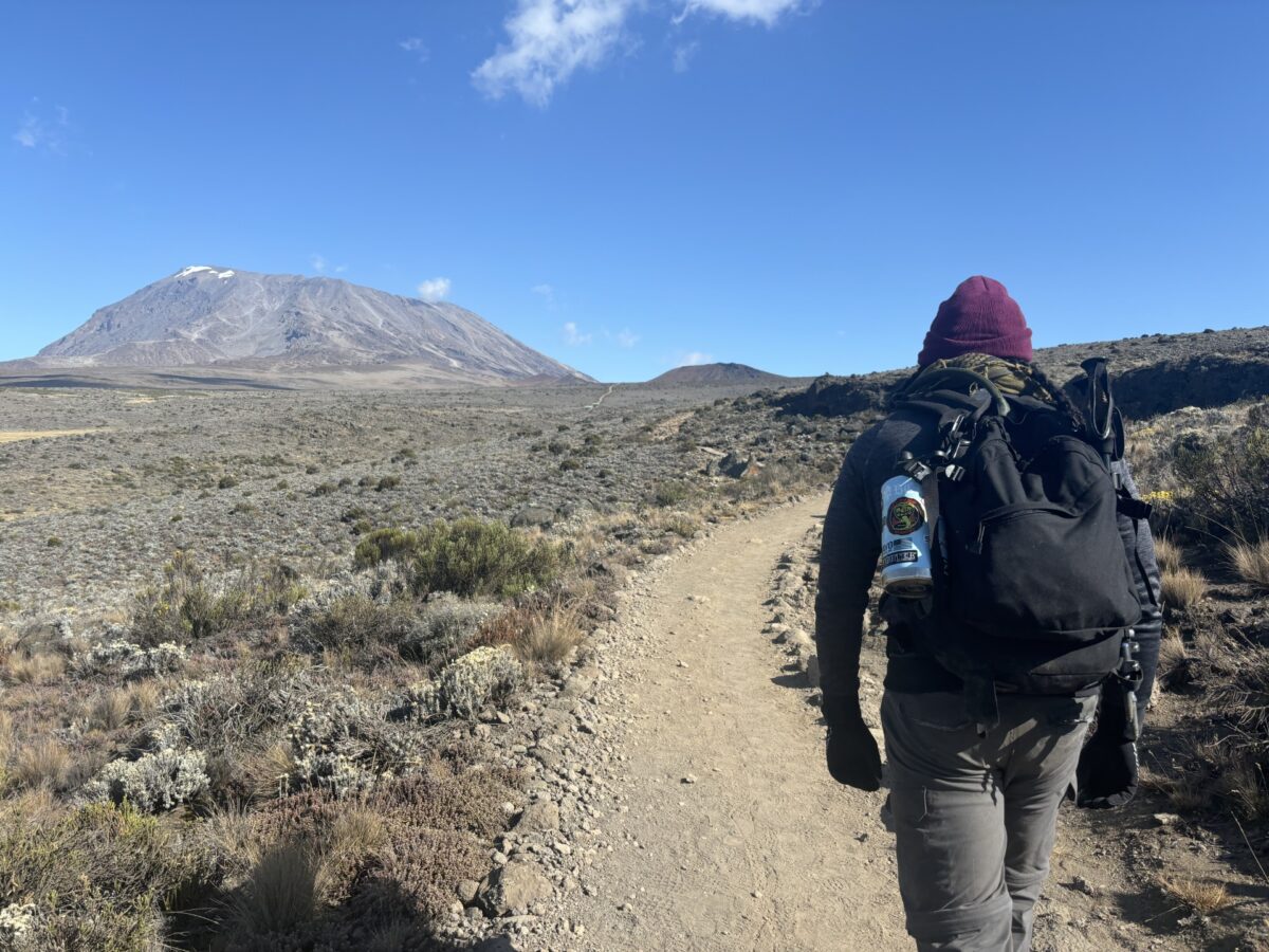 Alcorn alum Chavez Carter reaches Kilimanjaro summit, plants university ...
